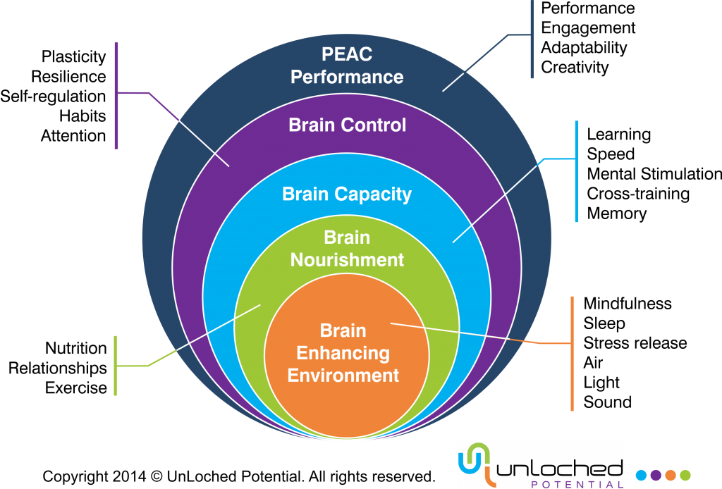 Welcome to brainFIT - Leading Humans